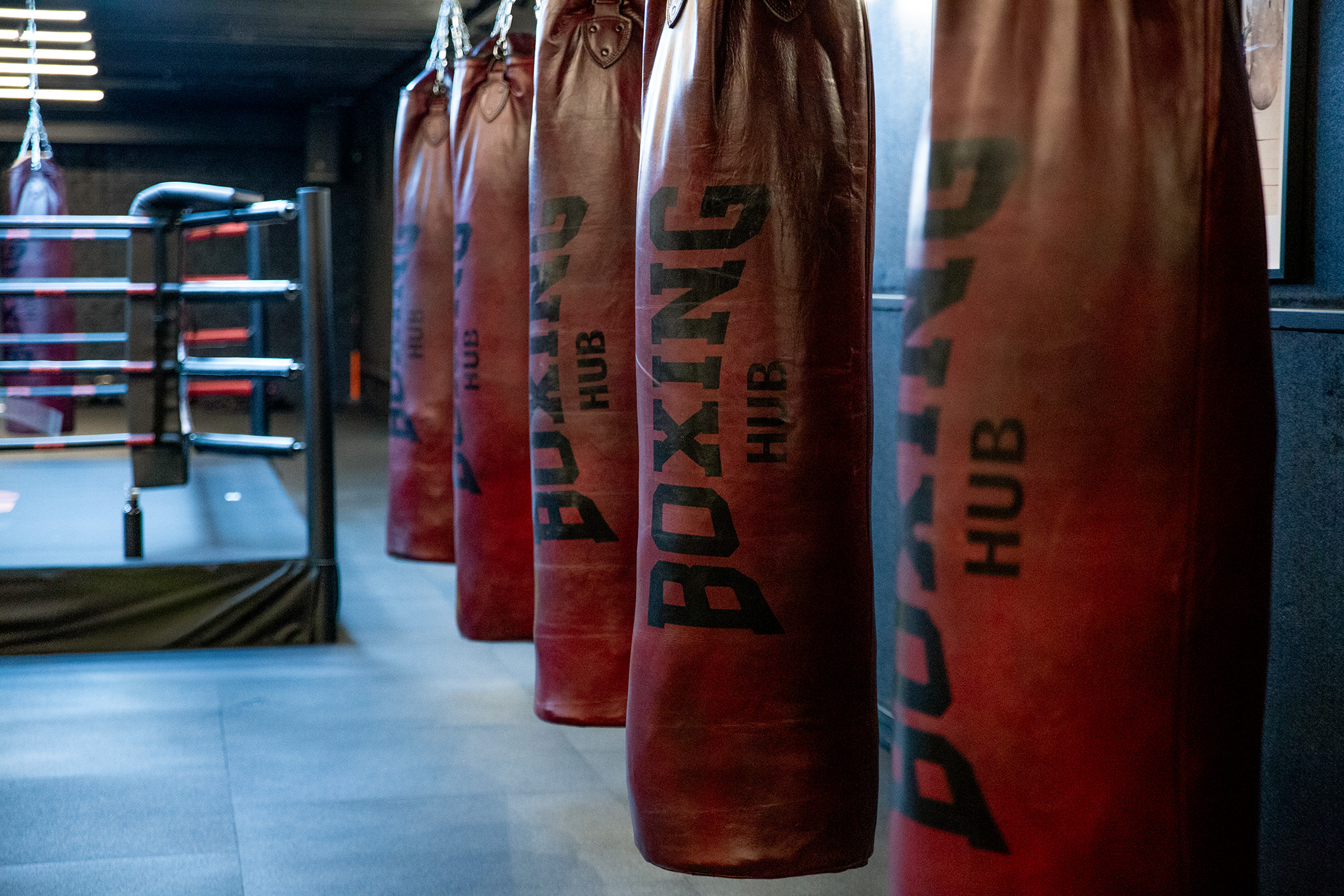 PC CUP atidarytas Boxing Hub! | CUP